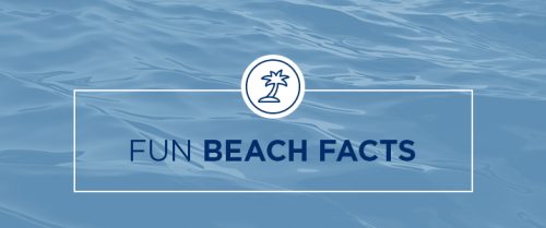 Fun Facts About Beaches | Ocean City NJ