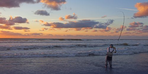 How-to Surf Fish: The Complete Guide | Ocean City NJ