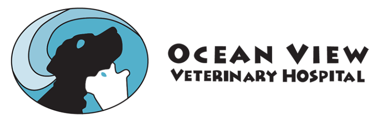 Ocean View Veterinary Hospital | Ocean City NJ